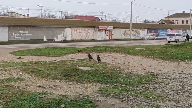 Один из дней города Евпатории | 8 февраля 2021 г | Крым | ХАН БАТОН XAH 6ATOH |  VID_20210208_134458