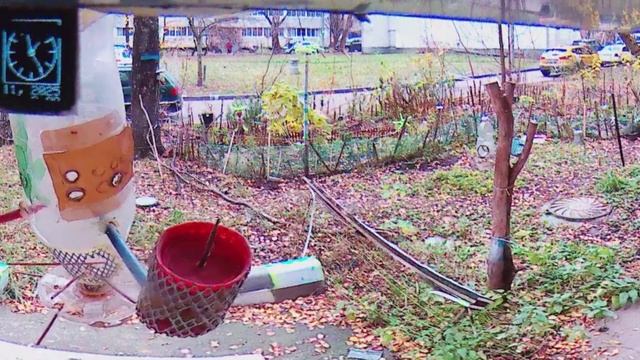 В генеральную прокуратуру РФ Нарушения ПДД и САНПИН