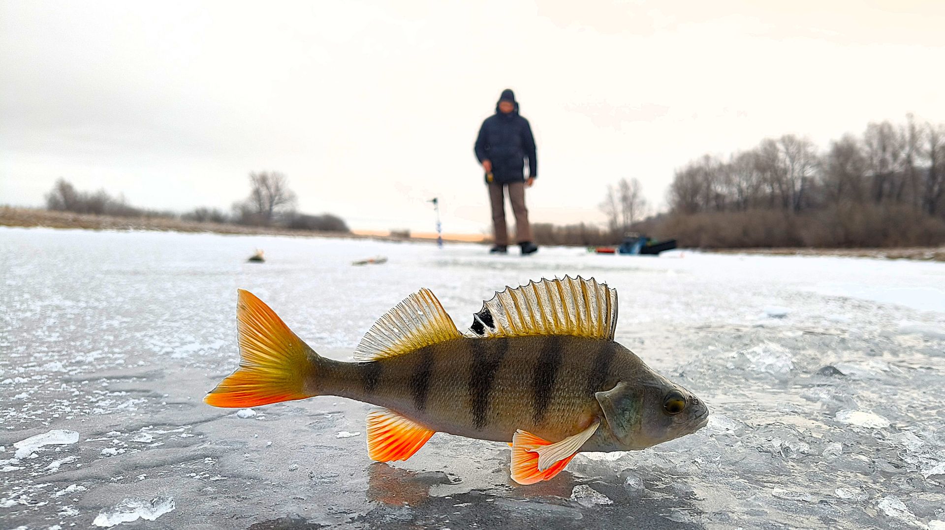 ПЕРВЫЙ ЛЕД 2025 ОТКРЫТИЕ ловля окуня на балансир