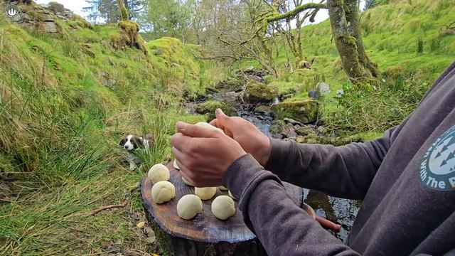 42. Еда на природе АСМР