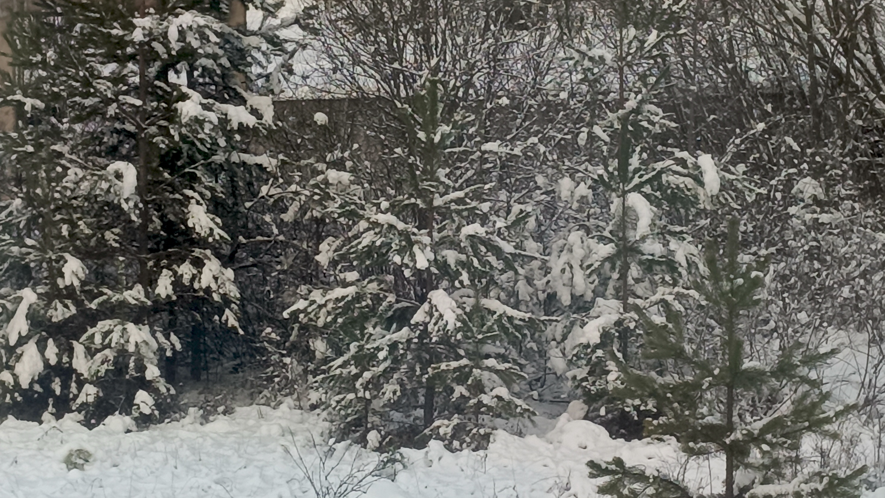 16-11-2025💥Влог💥воскресенье