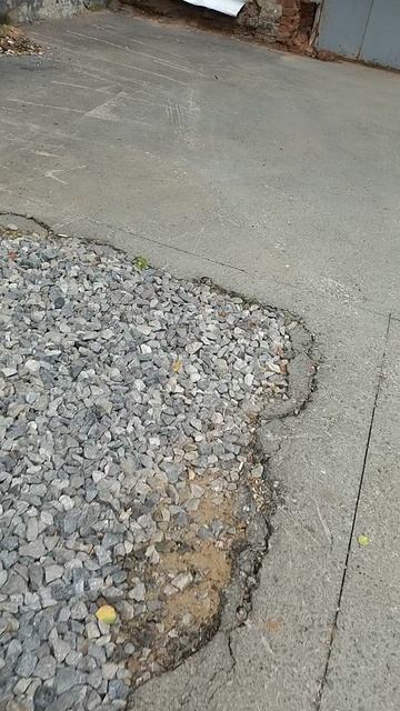 №484. Двор П. Осипенко 48. 10 августа 2025 г., 12:56:55. VID_20250810_125617623