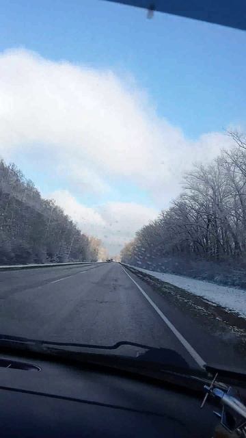 И у нас ночью  выпал первый снег #shorts