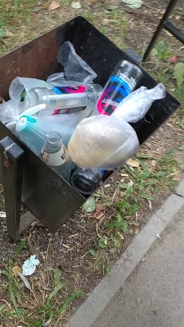 №482. Двор П. Осипенко 48. 10 августа 2025 г., 12:55:33. VID_20250810_125456538