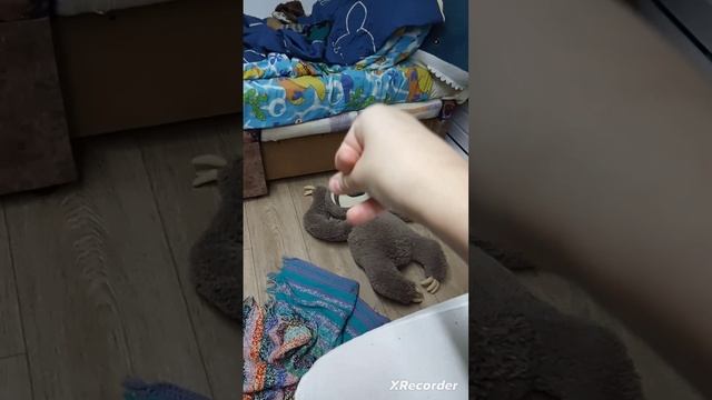 жизнь игрушек 1 часть