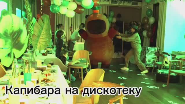 Капибара на дискотеку