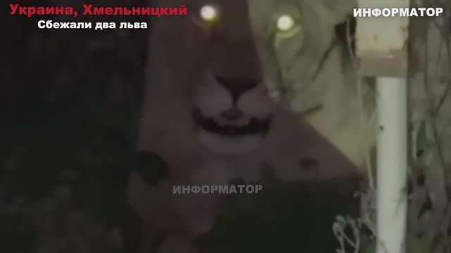 Новости_Сегодня_16_11_2025_Цунами_Россия,_Москва_Ураган,_Украина