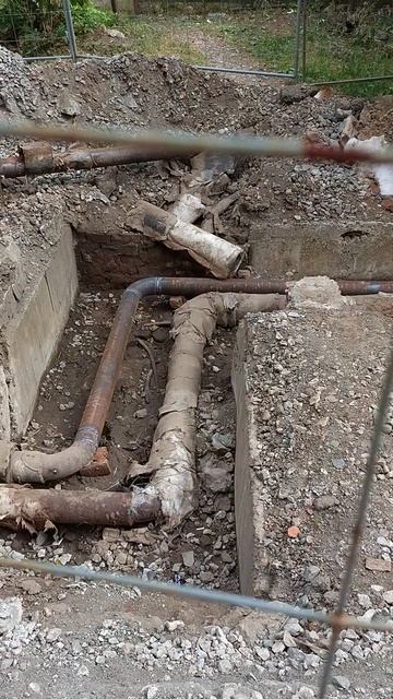 №480. Двор Г. Звезда 73-Красноармейская 52 10 августа 2025 г., 11:44:06. VID_20250810_114314387