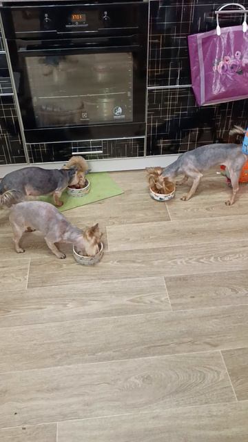 Команда лысиков за ужином.