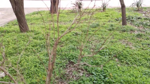 Один из дней города Евпатории | 5 февраля 2021 г | Крым | ХАН БАТОН XAH 6ATOH | VID_20210205_140525