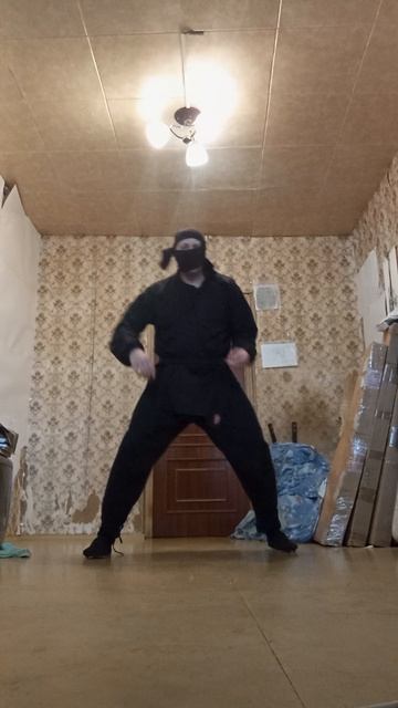 Крайне Северный Ниндзя: 16 Ноябрьское Чудо II (16.11.2025) Very Nordic Ninja: 16 November Wonder II