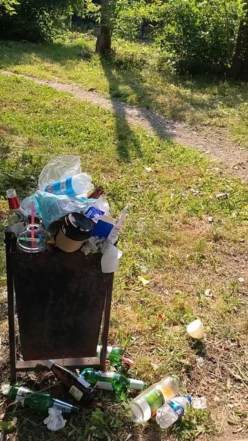 №463. Двор П. Осипенко 48. 7 августа 2025 г., 9:54:31. VID_20250807_095343251