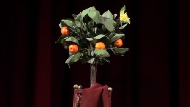 "Апельсиновое дерево". легендарный, ставший классическим, иллюзион.