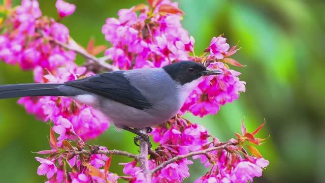 #Коран#АнНисаъ#СамыеКрасивыеМеста#Relaxation##Islam#Quran#AnNisa'#Minshawiy #4кВидео#1часть#