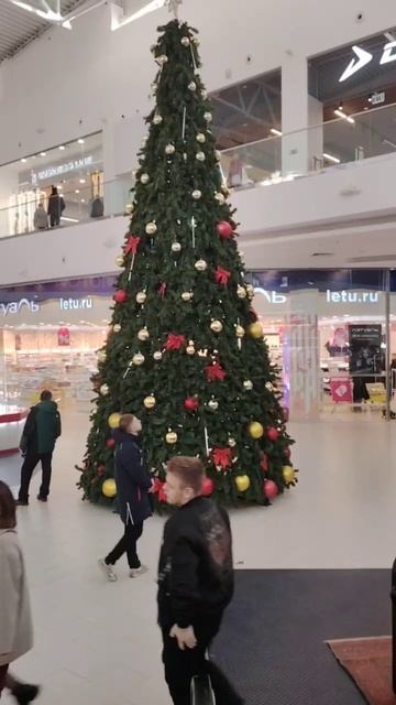 Новый год скоро. Пора ёлку ставить.