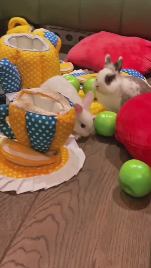 Мягкий реквизит для малышей