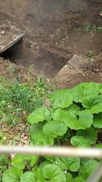 №478. ул. Полины Осипенко. 9 августа 2025 г., 16:41:43. VID_20250809_164120630