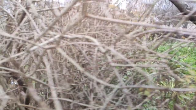 Один из дней города Евпатории | 5 февраля 2021 г | Крым | ХАН БАТОН XAH 6ATOH | VID_20210205_140414