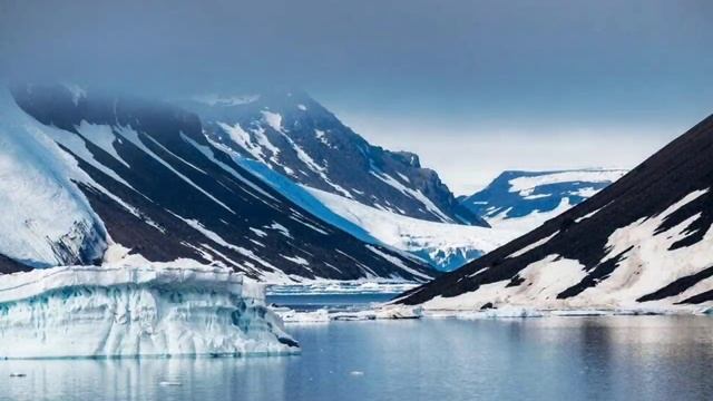 Виллем Баренц