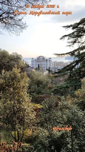 15 ноября 2025 г. Ялта. Мордвиновский парк #ялта #ялта2025 #паркмордвинова
