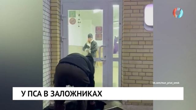 У пса в заложниках