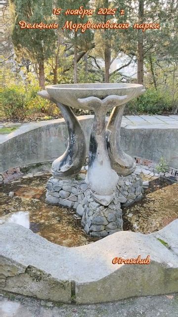 15 ноября 2025 г. Ялта. Дельфины Мордвиновского парка #ялта #ялта2025 #паркмордвинова