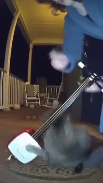 Живой будильник ⏰