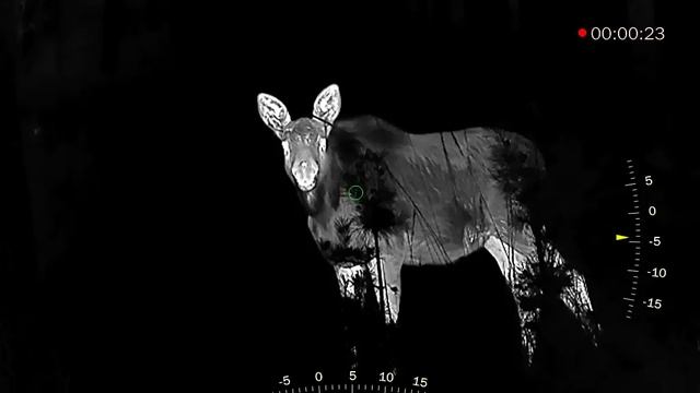 Что «видит» охотник через тепловизор ATOMOS 2×35 мм 640×512?