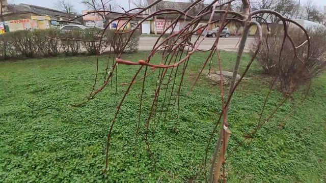 Один из дней города Евпатория | 22 февраля 2021 г | Крым | ХАН БАТОН XAH 6ATOH | VID_20210222_141455