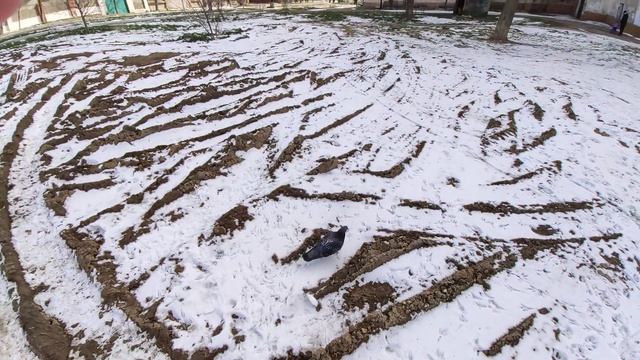 Один из дней города Евпатория | 15 февраля 2021 г | Крым | ХАН БАТОН XAH 6ATOH | VID_20210215_133810