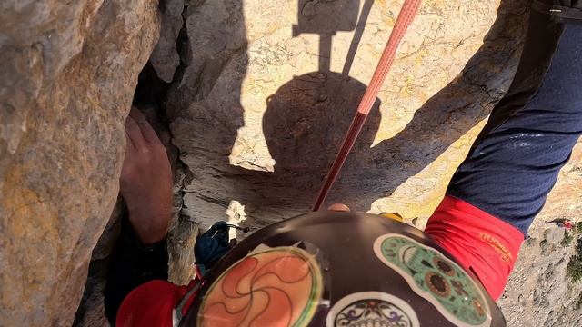 Тизер Голубая Устрица