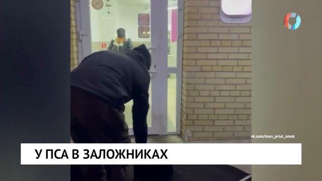 Новости от 17.11.2025