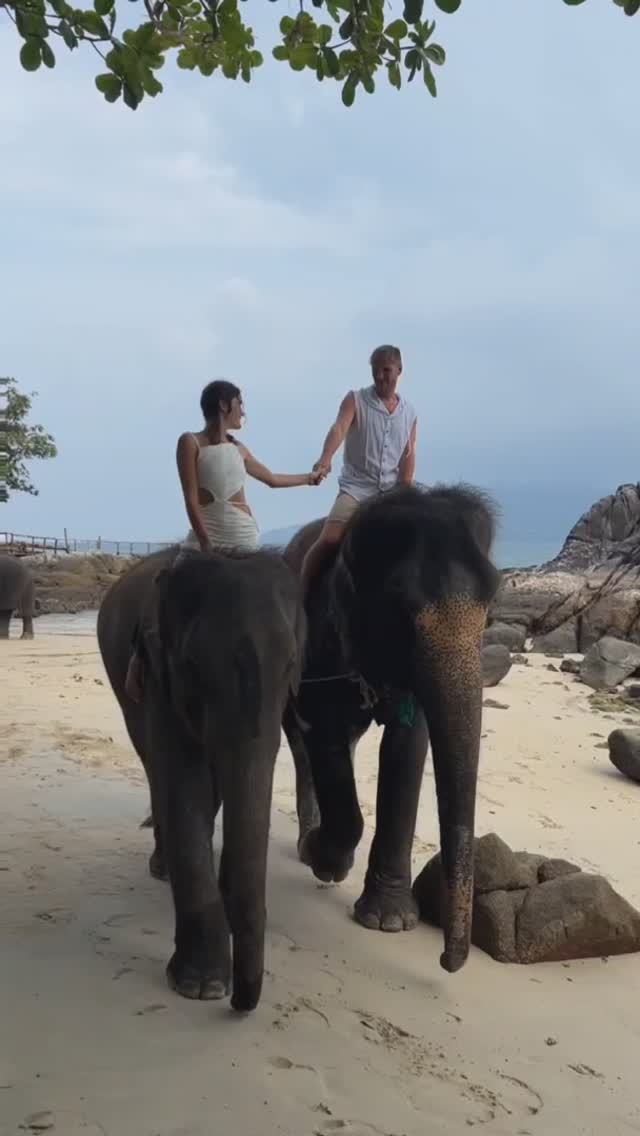 Ты меня любишь)