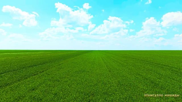 #Коран#АнНисаъ#СамыеКрасивыеМеста#Relaxation##Islam#Quran#AnNisa'#Minshawiy #4кВидео#2часть#