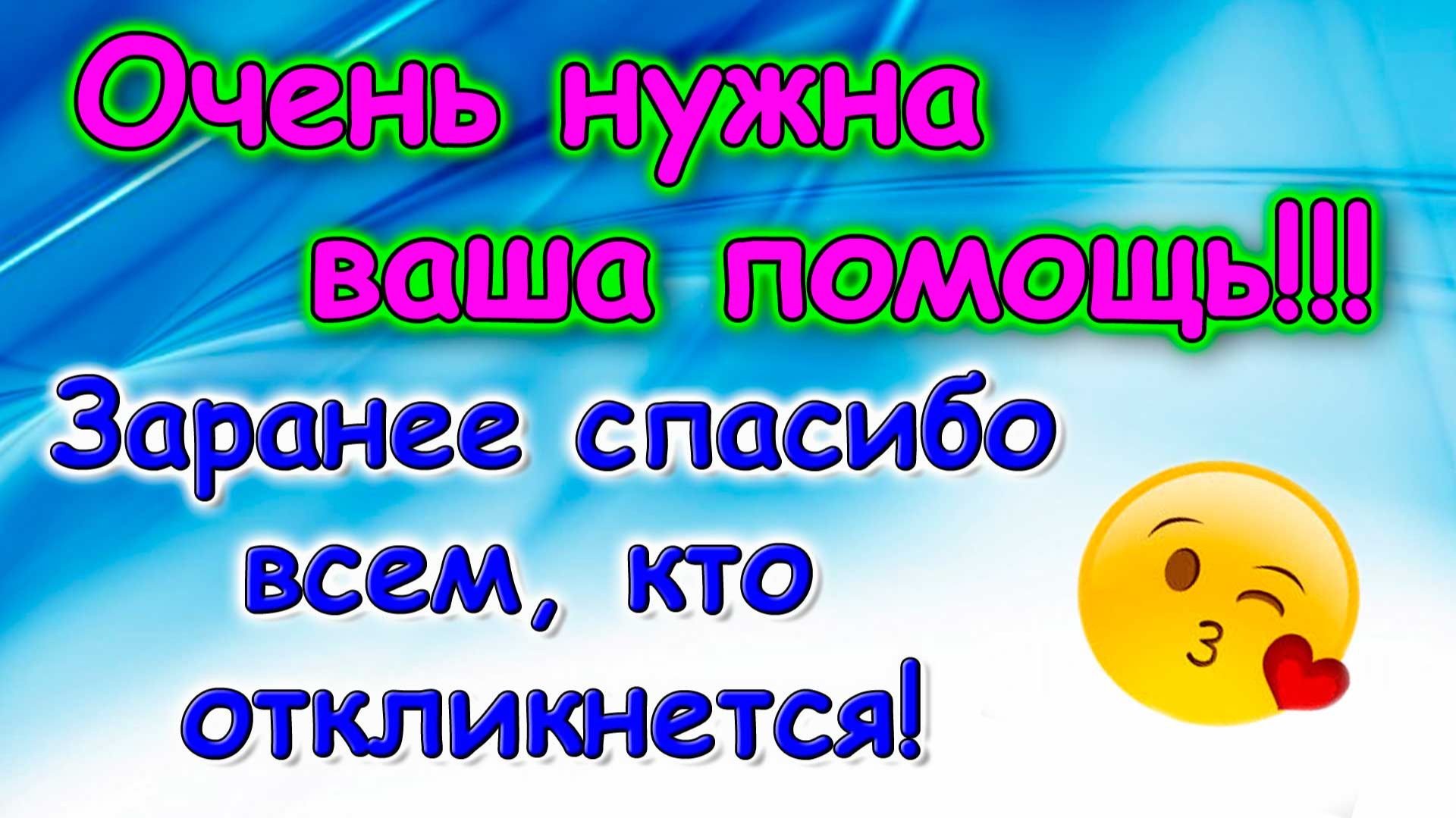 Просьба о помощи. Крик души! Заранее спасибо всем!!! (11.25г.) Семья Бровченко.