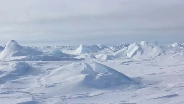 Иван Папанин