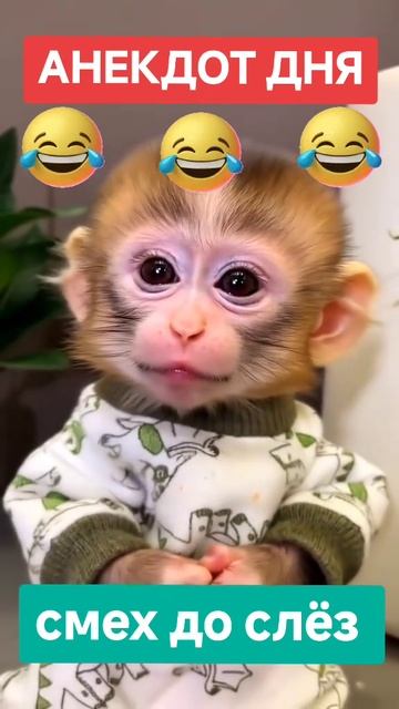 #анекдот #смехдослез #анегдот #рекомендации #оченьсмешно