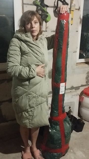 саженцы пришли персик нектарин