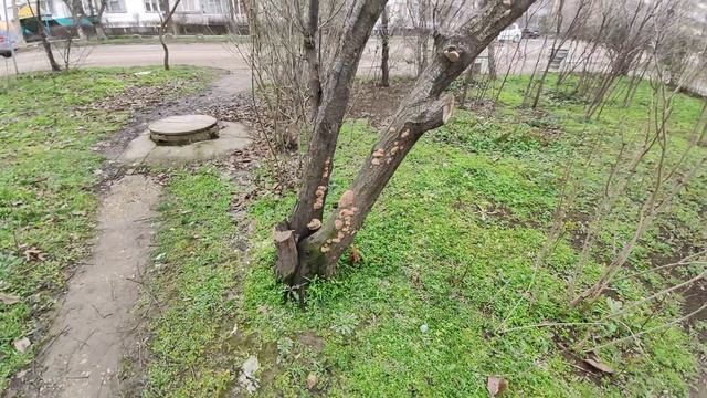 Один из дней города Евпатория | 22 февраля 2021 г | Крым | ХАН БАТОН XAH 6ATOH | VID_20210222_141246