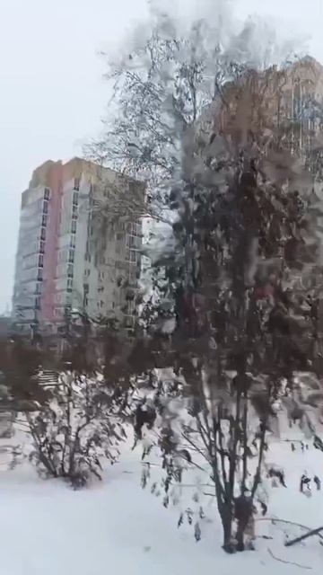 🥰 Здравствуй, трудовая заря понедельника! 🤪