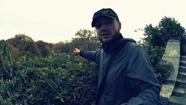 009_Ахунительный видос. Ослик с педикюром.