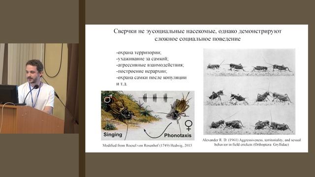 М.И.Межерицкий. Моноамины и насекомые: от интеграции до агрегации