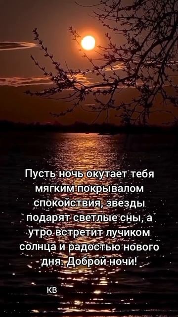 #мысли #цитаты #katyboro #афоризмы  #топ #рек #shortvideo #short   #viralshort #умныемысли