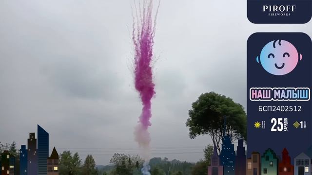 БСП 2402512 Наш малыш