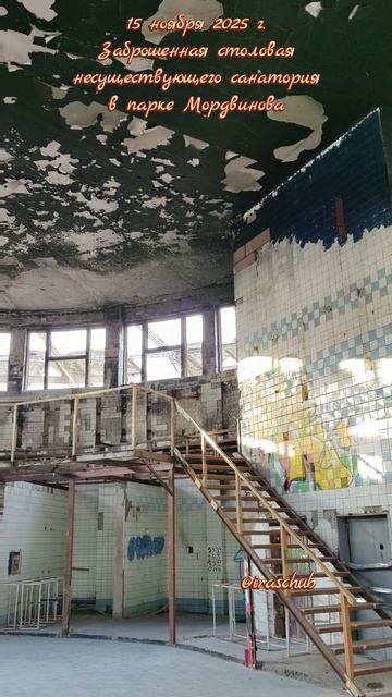 15 ноября 2025 г. Заброшенная столовая несуществующего военного санатория в парке Мордвинова #ялта