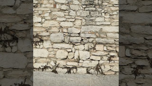 Tecnovap Weedkilling IG