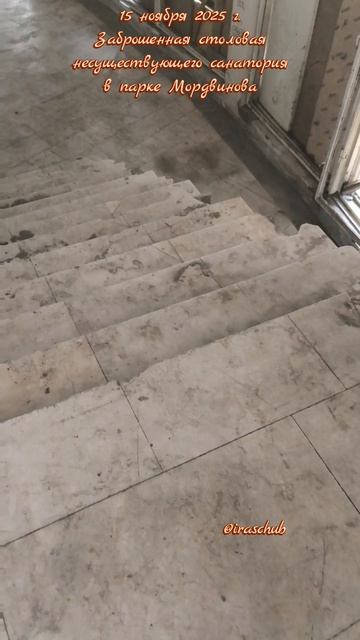 15 ноября 2025 г. Заброшенная столовая несуществующего военного санатория в парке Мордвинова #ялта