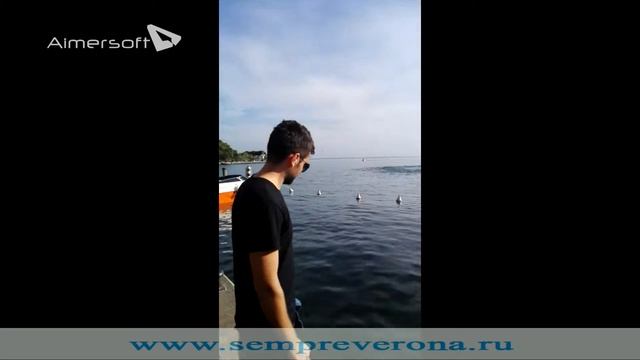 Утята потеряли маму на озере Гарда.