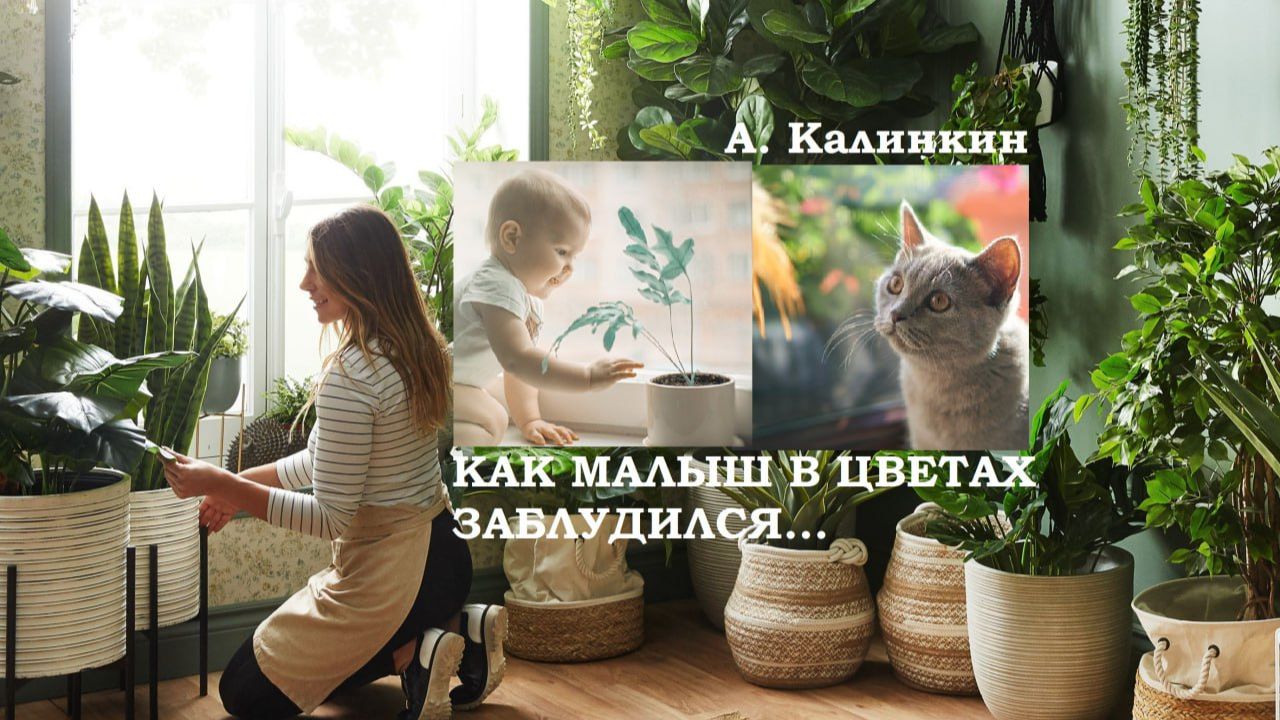 Как малыш в цветах заблудился - добрая поучительная история для детей и родителей