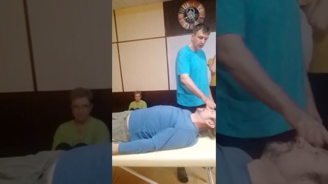 Канал желудка и его проекции на мышцах